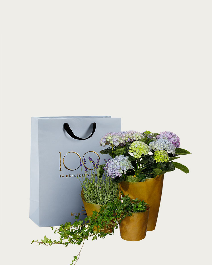 Skicka Blommogram via Interflora Blomstermakarna